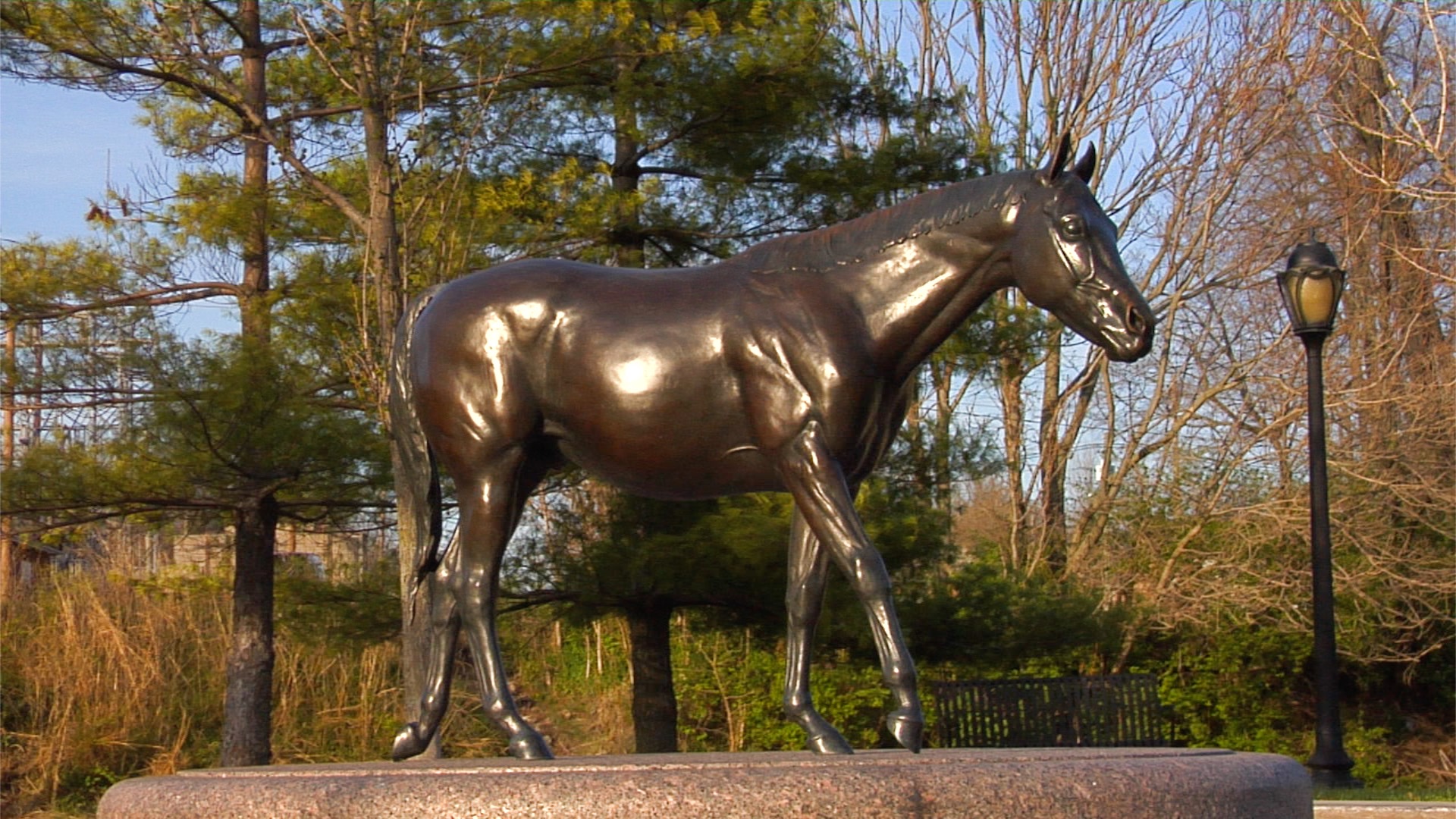 Thoroughbred Park | Triangle Park