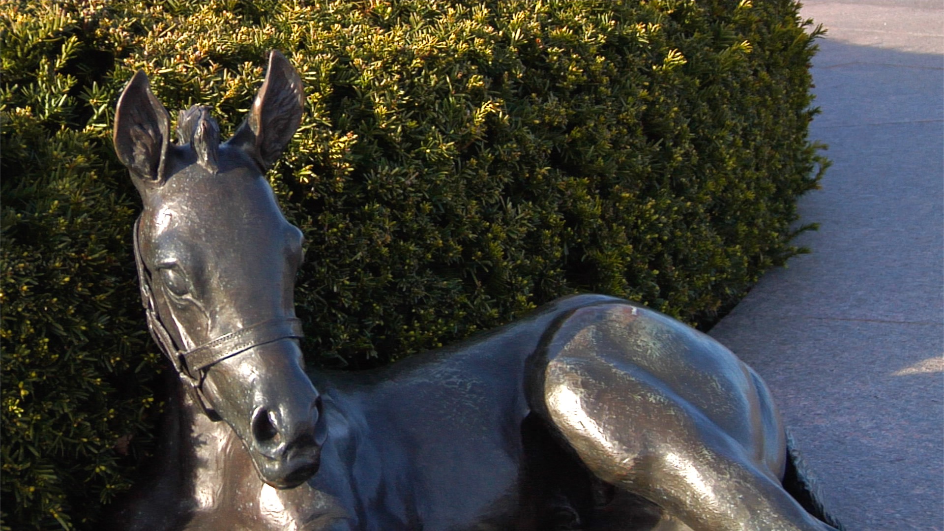 Thoroughbred Park – Triangle Park