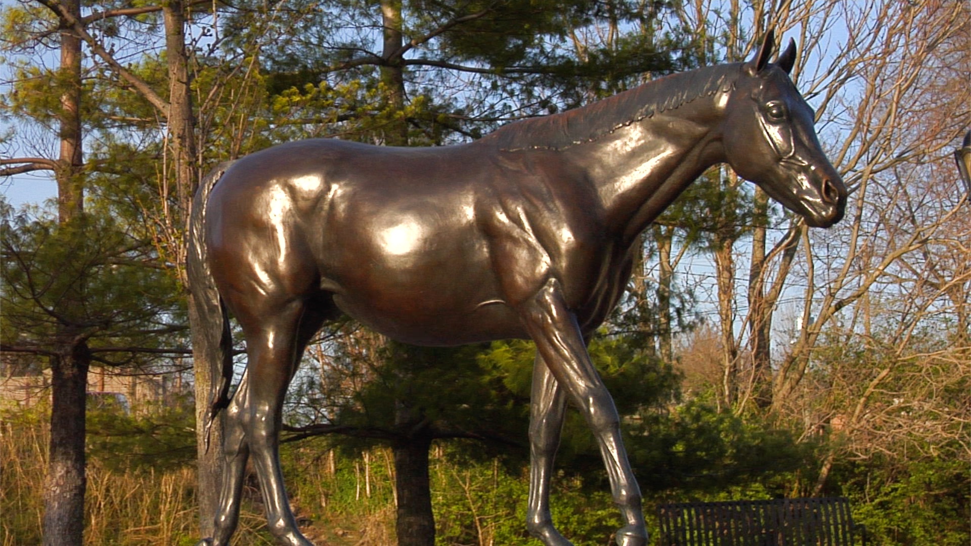 Thoroughbred Park – Triangle Park
